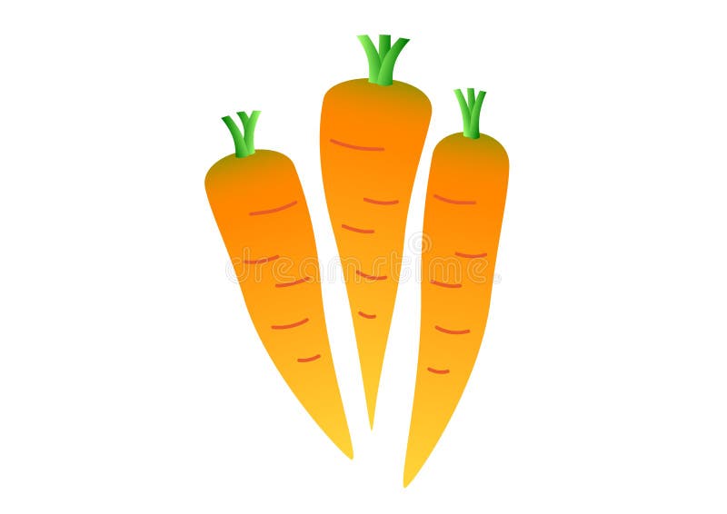 Three carrots stock vector. Illustration of sweet, healthy - 14590939