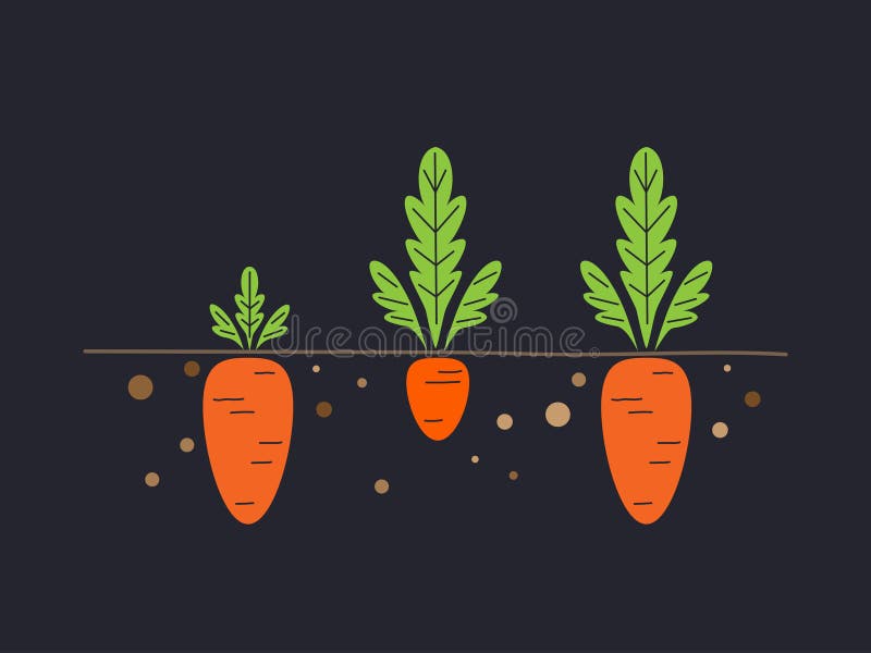 Three Carrots with Different Size and Leaves. Vector Illustration Stock ...