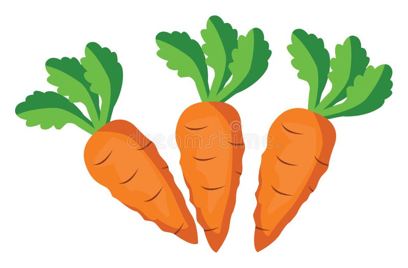 Three carrots, icon stock vector. Illustration of healthy - 261383317