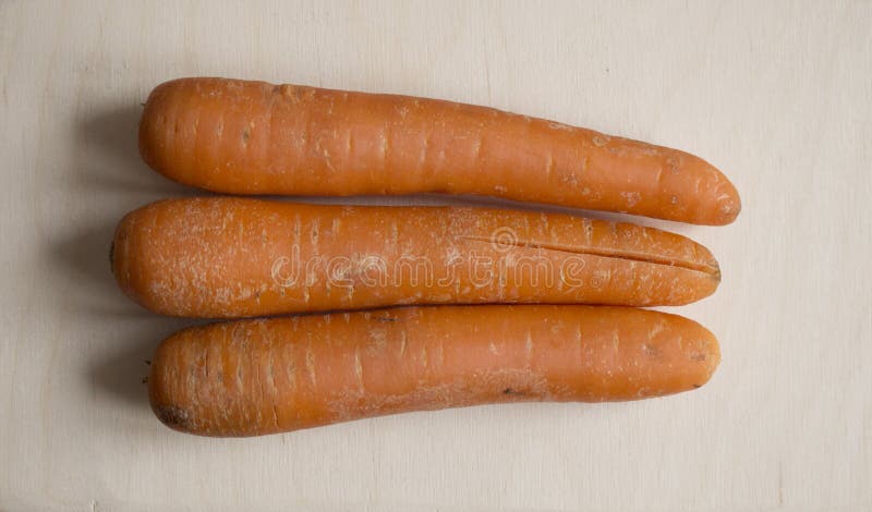 Three carrots stock photo. Image of ecology, ingredient - 106530260