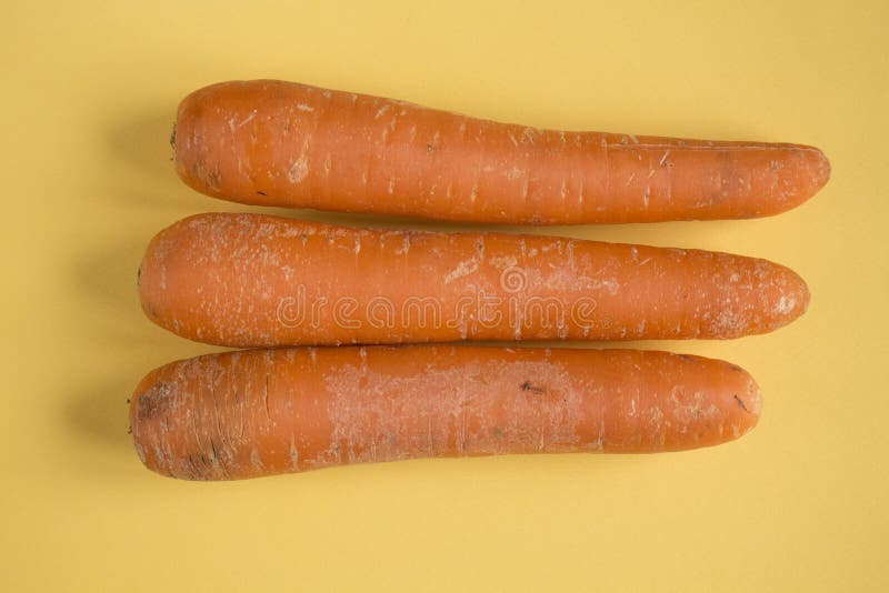 Three carrots stock photo. Image of abstract, back, design - 106530366