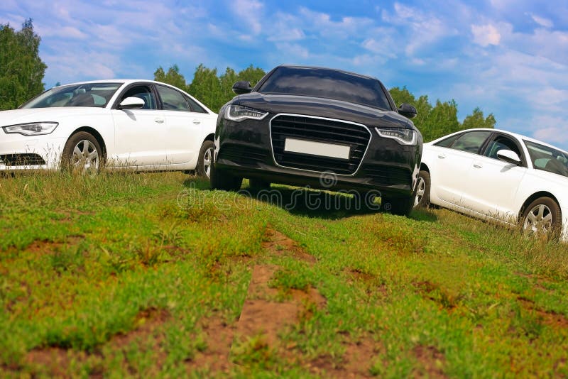 Three cars on nature stock photo. Image of scene, speed - 25315070