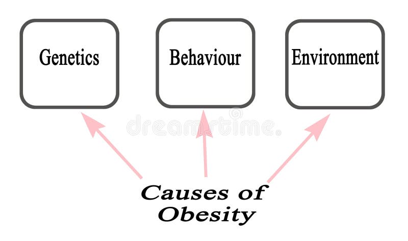 Three Cause of Obesity stock illustration. Illustration of environment ...