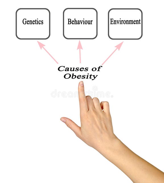 Three Cause of Obesity stock photo. Image of instructor - 153377806