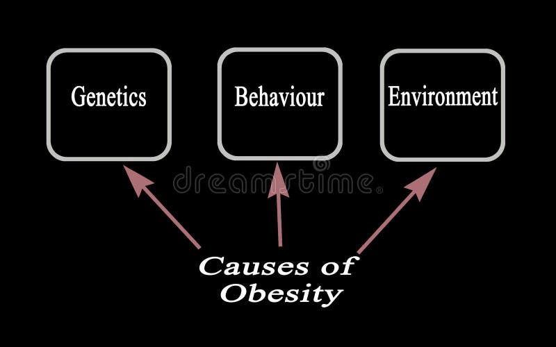 Cause of Obesity:.Genetics, Behaviour, and Environment Stock ...
