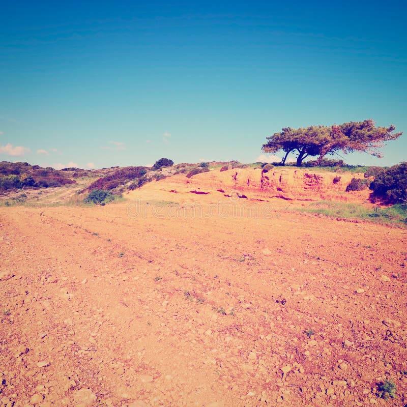 Three Cedars stock image. Image of europe, island, arid - 40624679