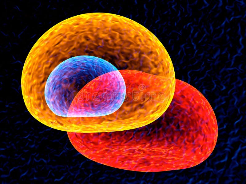 Three cells stock illustration. Illustration of life - 28795769