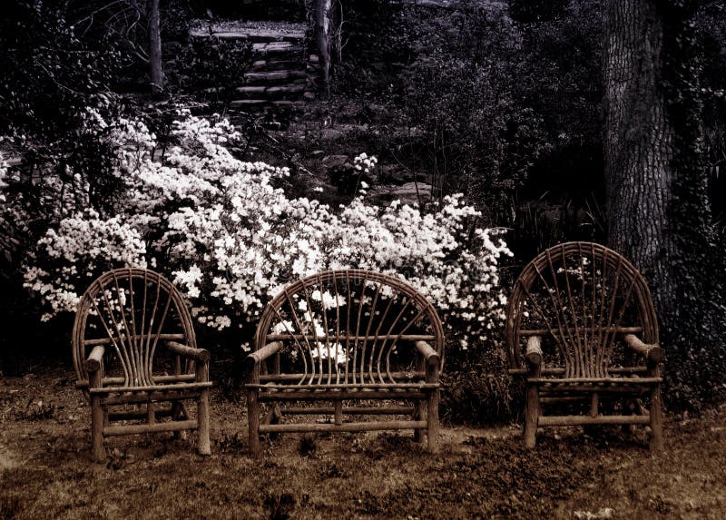 Three chairs stock image. Image of vintage, peace, leaves - 611905