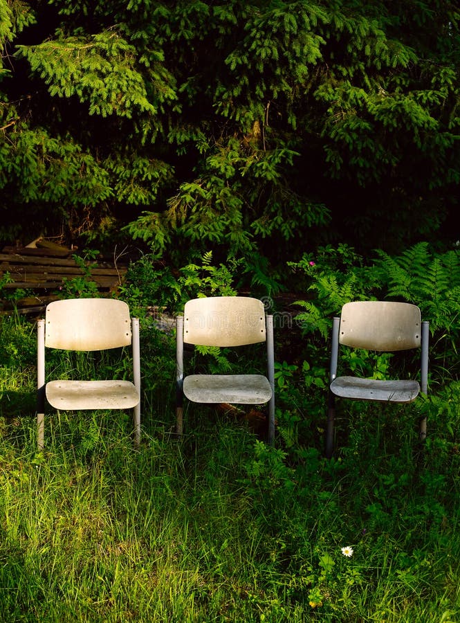 Three chairs in garden stock photo. Image of seating - 15085344