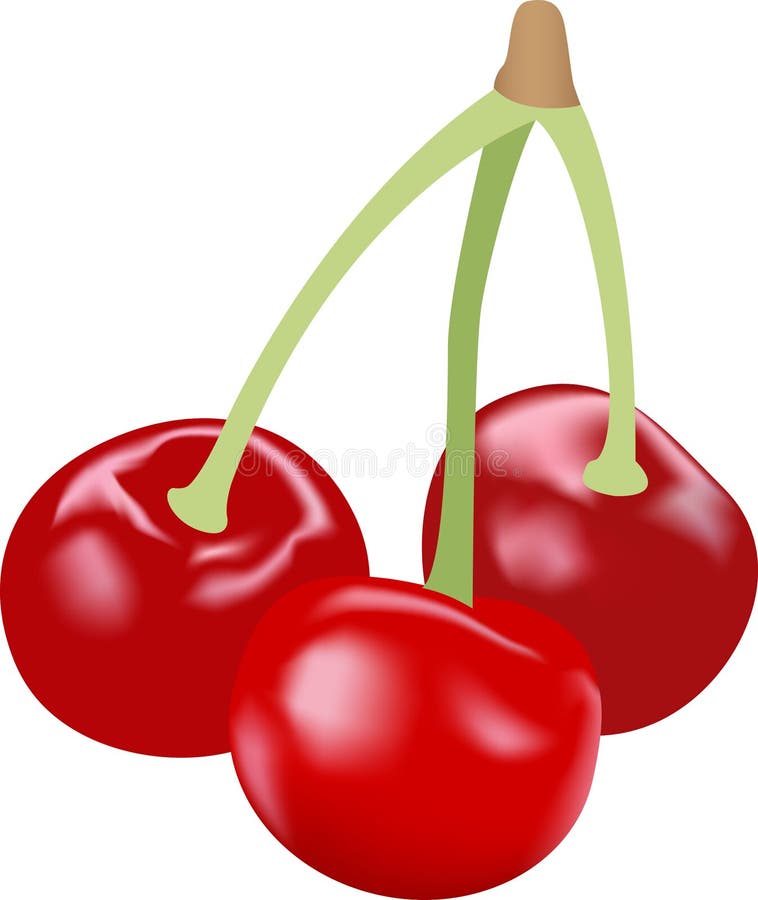 Three Cherries stock illustration. Illustration of summer - 28502827