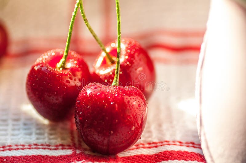 Three cherries closeup stock image. Image of house, vitamin - 95405463