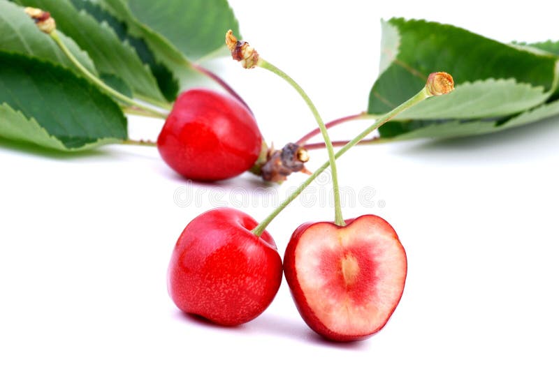 Three Cherries Isolated on White Background. Stock Image - Image of ...