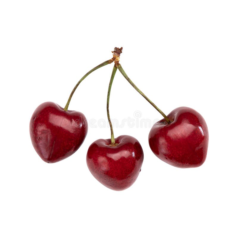 Three Cherries Isolated on White Background, Top View Stock Image ...