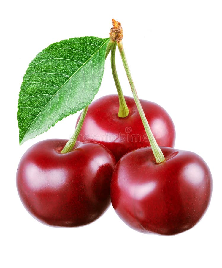 Cherries stock image. Image of cherries, food, healthy - 25204161