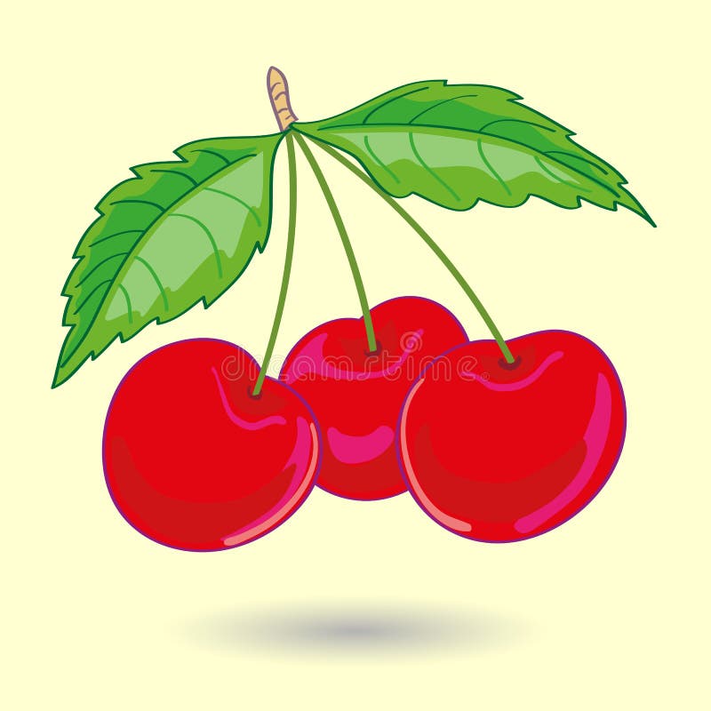 Three Red Cherries With Green Leaves Stock Vector - Illustration of ...