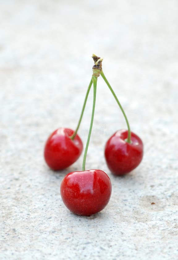 Three cherries stock image. Image of cherry, triangle - 42234661