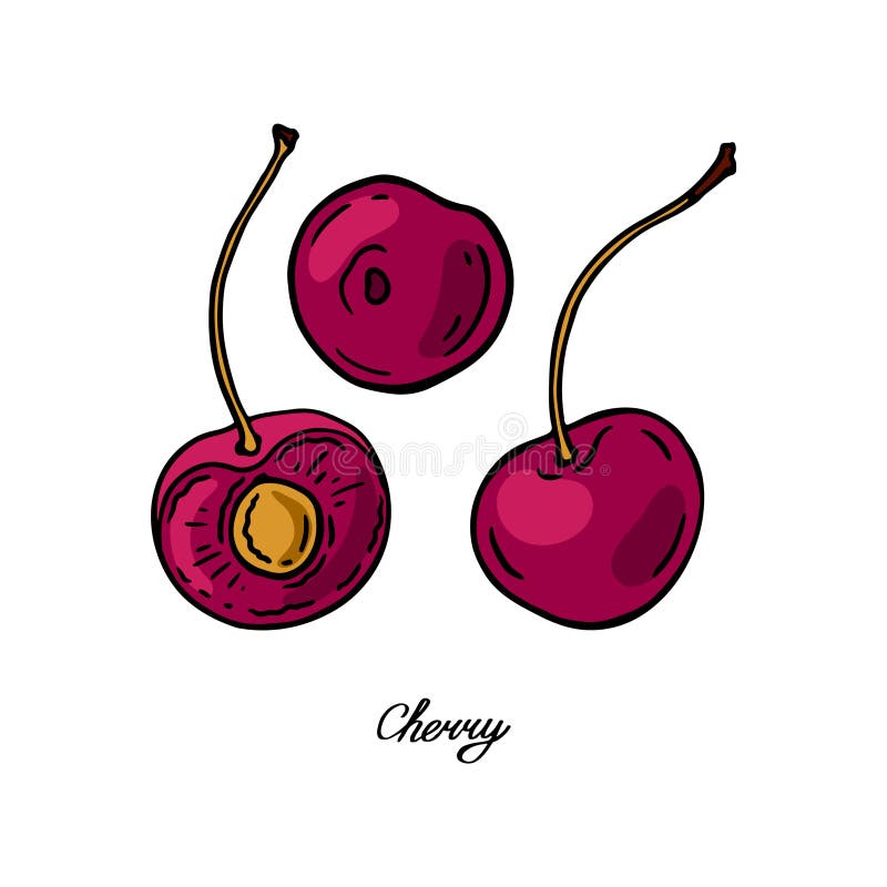 Three Cherry. Color Berries Set. Hand-drawn Flat Image Stock Vector ...