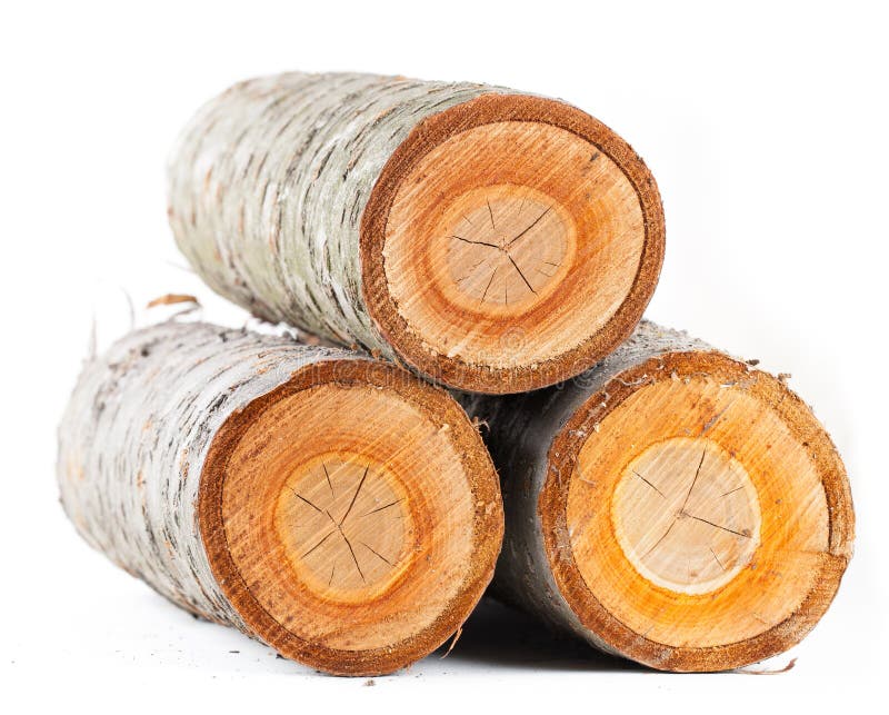 Three Cherry Tree Round Stub Logs Stock Photo - Image of texture, stub ...