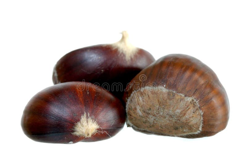 Three Chestnuts Picture. Image: 4634817