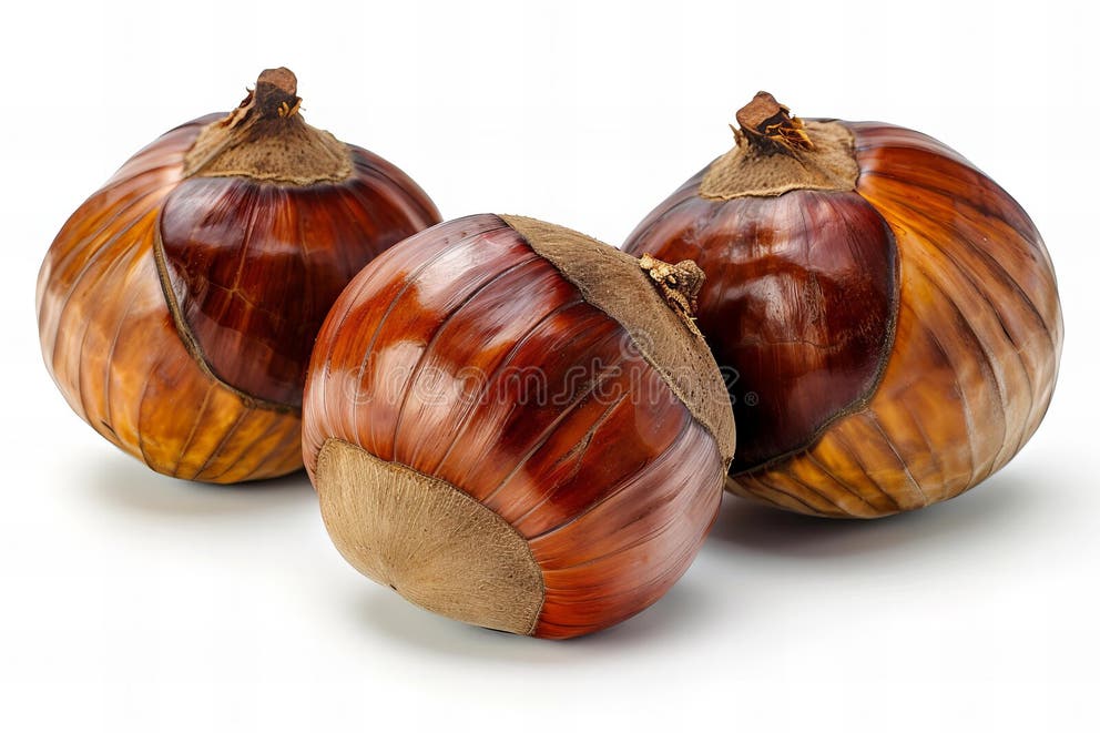 Three Chestnuts Isolated on White Background with Clipping Path, Full ...