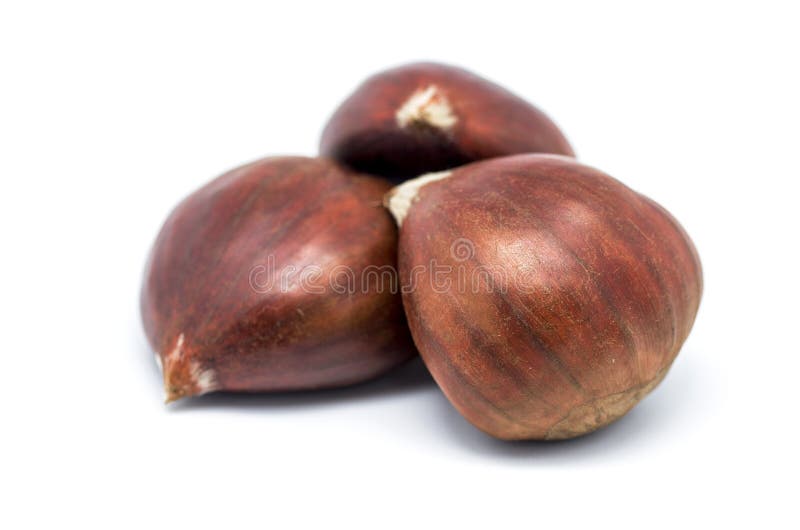 Photography of chestnuts stock photo. Image of chestnuts - 159088500
