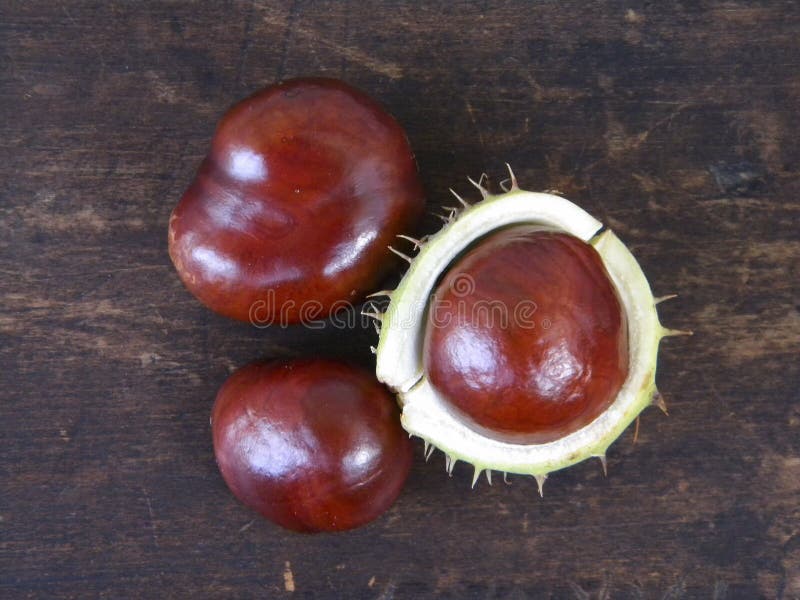 Three chestnuts stock image. Image of peel, macro, nostalgia - 60399657