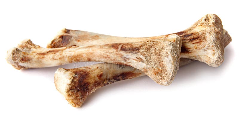 Clean Chicken Bone