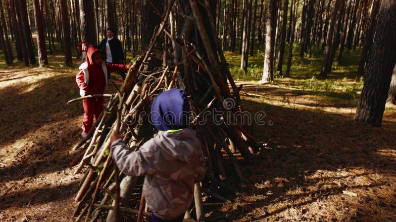 Children Build a Fort Using Sticks and Branches in a Forest during ...