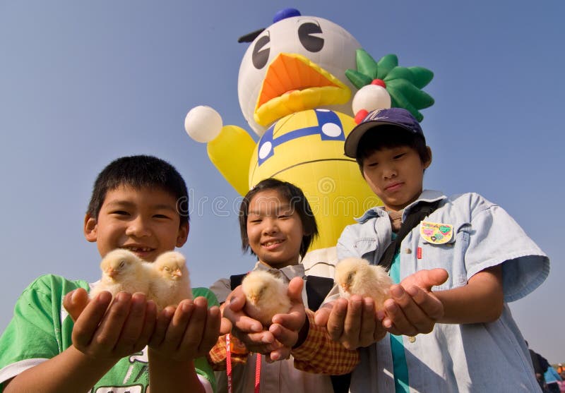 Three Children Holding Baby Chicks Editorial Stock Image - Image of ...