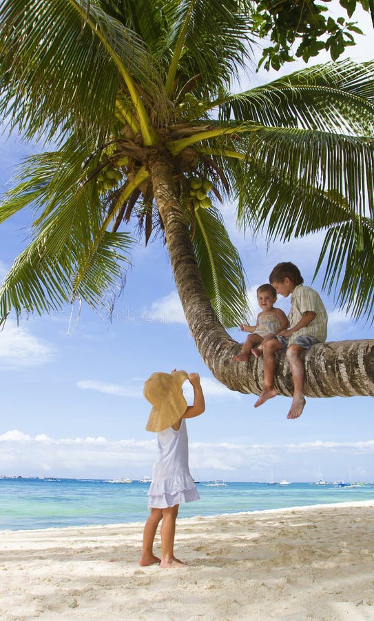 Three Children On Palm Tree Stock Photo - Image of infant, outdoor ...