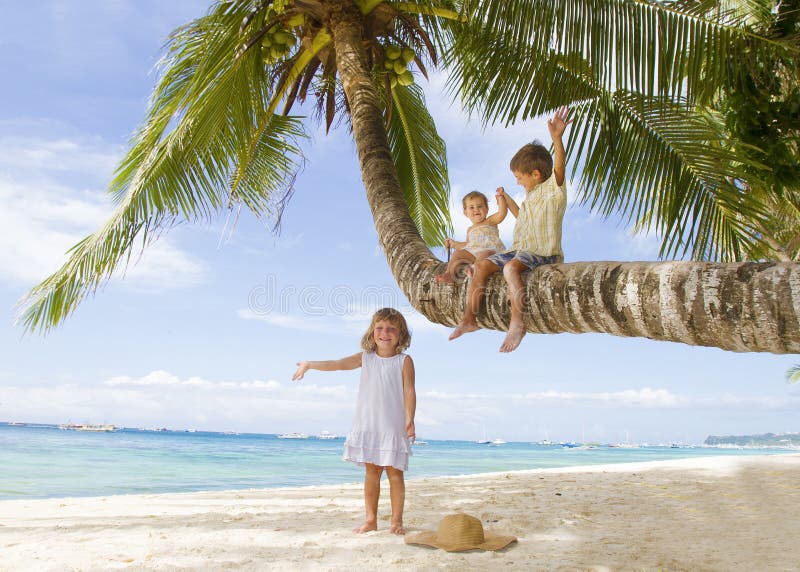 Three Children On Palm Tree Stock Photo - Image of infant, outdoor ...