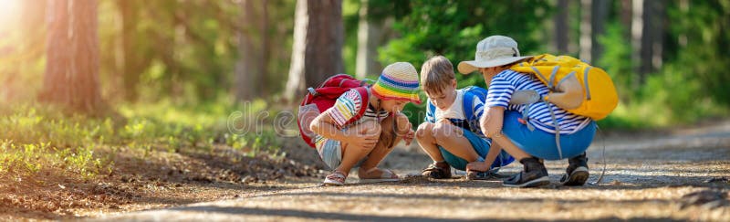 Three Children Sitting on the Path and Exploring Something on it in a ...