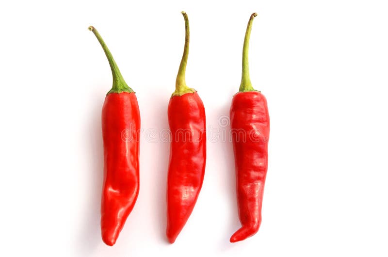 Three chilli peppers stock photo. Image of taste, peppers - 6224580