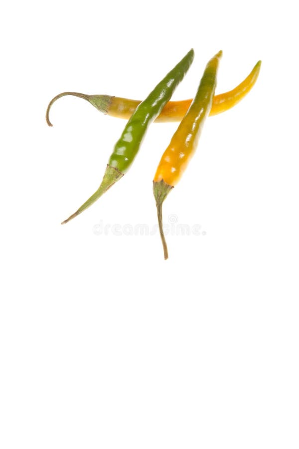 Three red chilli in water stock photo. Image of drop - 13868960