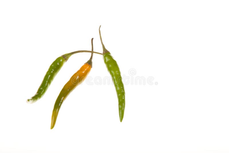 Three Chillies stock image. Image of isolated, fresh - 25968113