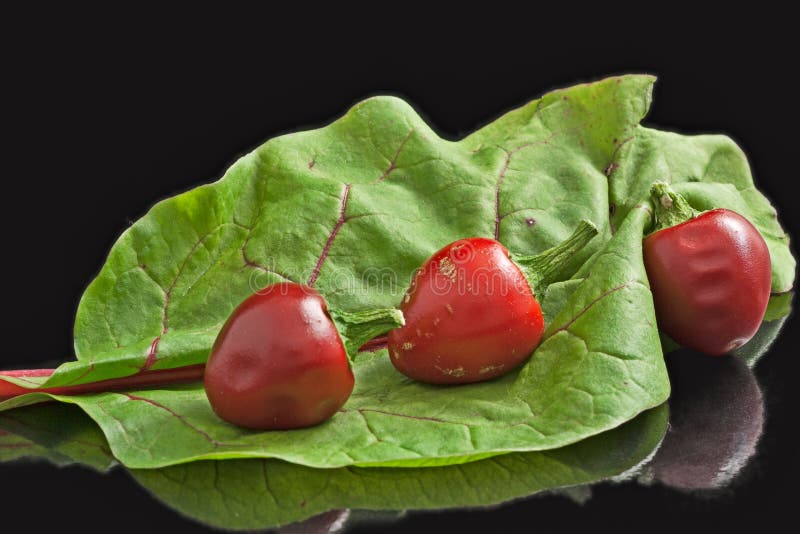 Three chillies on leaf stock photo. Image of cuisine - 46637144