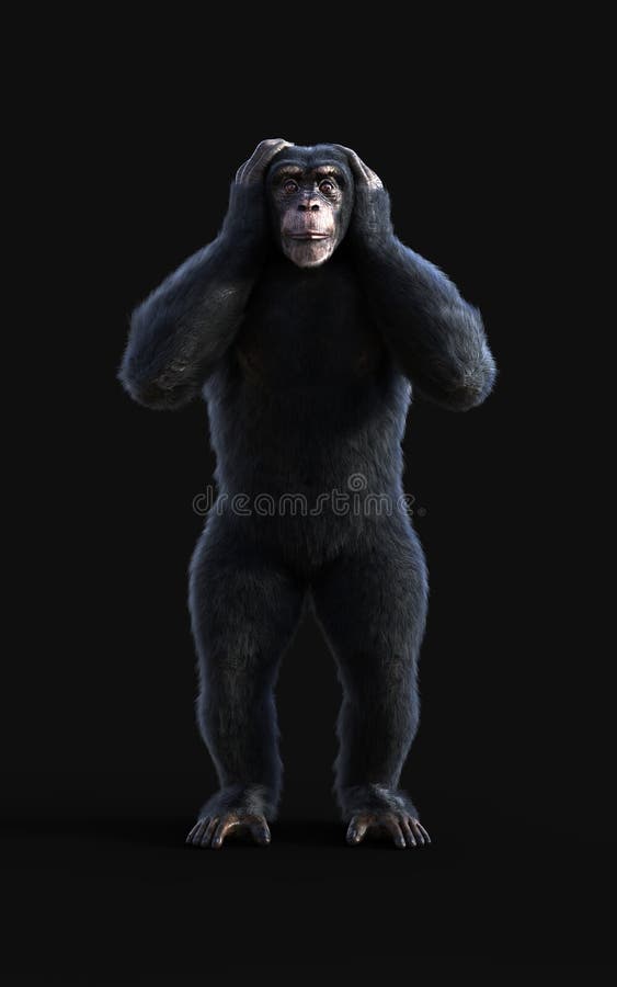 Monkeys Emotions Stock Illustrations – 68 Monkeys Emotions Stock ...