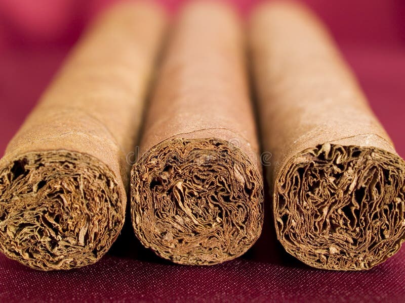 Three Cigars on red satin stock image. Image of culture - 49418407