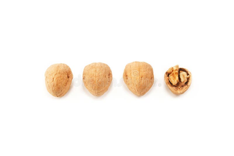 Three Closed Nuts and One Open Nut Stock Image - Image of view, organic ...