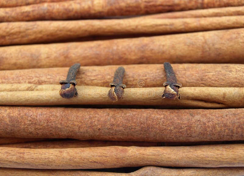 Three cloves stock photo. Image of cook, apothecary, cinnamon - 10486838