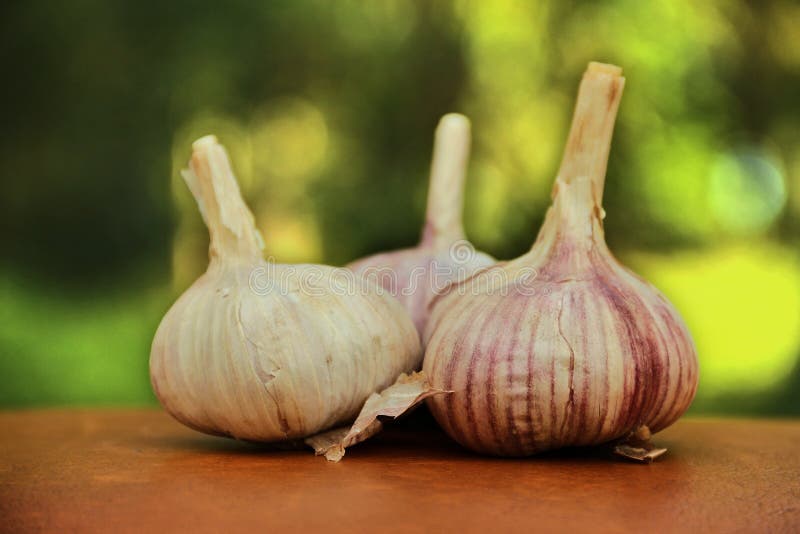 Three Cloves of Garlic on Table Stock Image - Image of farming ...