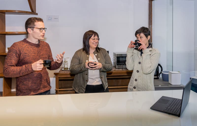 Three Co-workers Having a Conversation while they Consult a Laptop and ...