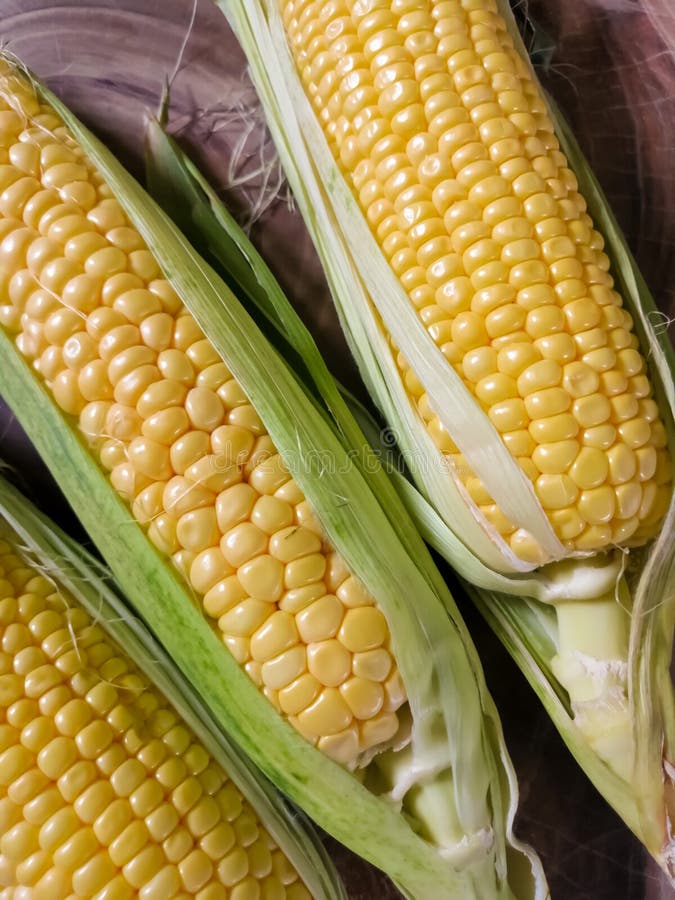 Three Cobs of Corn Lie on a Wooden Table Stock Photo - Image of popcorn ...
