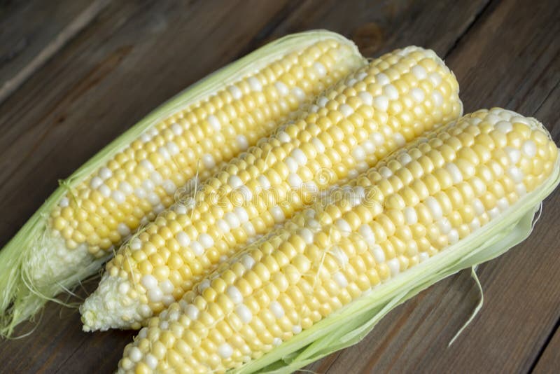 Three Cobs of Corn Lie on a Wooden Table. Three Heads of Corn. Corn ...
