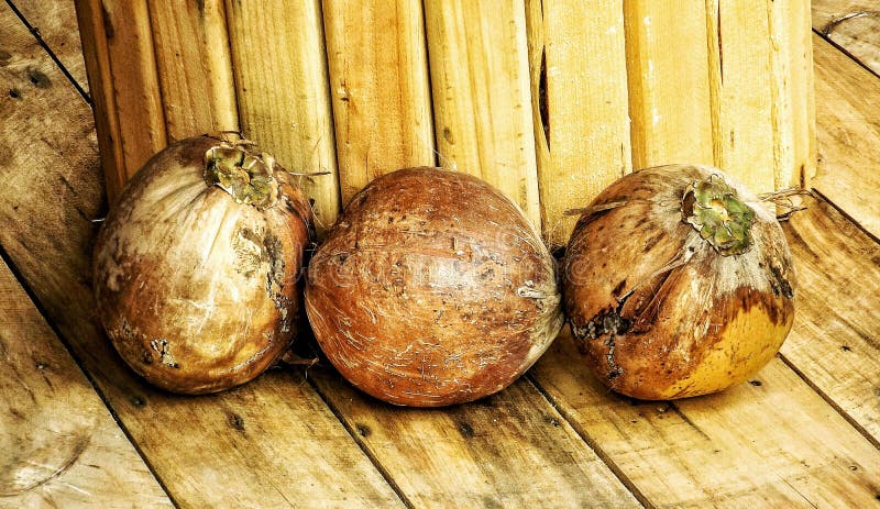 Three Coconut Trees On A Tropical Beach In St Martin Stock Image ...