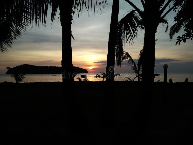 1,032 Three Coconut Tree Stock Photos - Free & Royalty-Free Stock ...