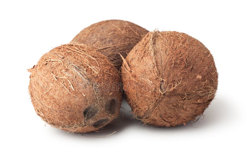 Three Coconuts Isolated on the White Stock Image - Image of three ...