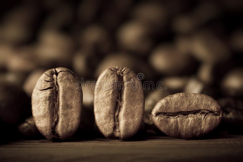 Three coffee beans stock photo. Image of seed, espresso - 8628484