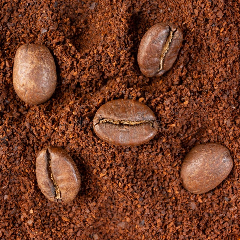 Three Coffee Beans Lie on Ground Coffee Close-up. Stock Photo - Image ...