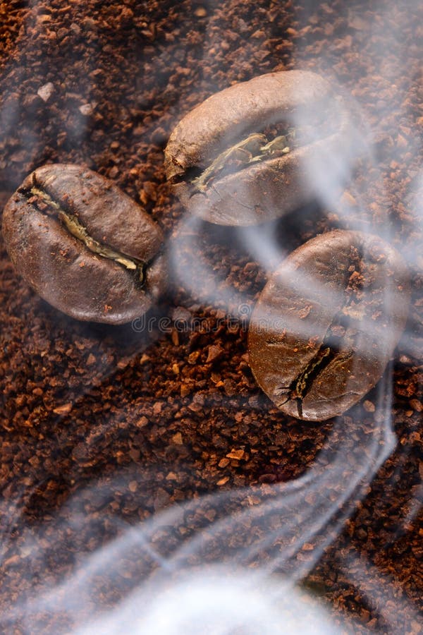 Three Coffee Beans Lie on Ground Coffee, Light Aromatic Coffee Smoke ...